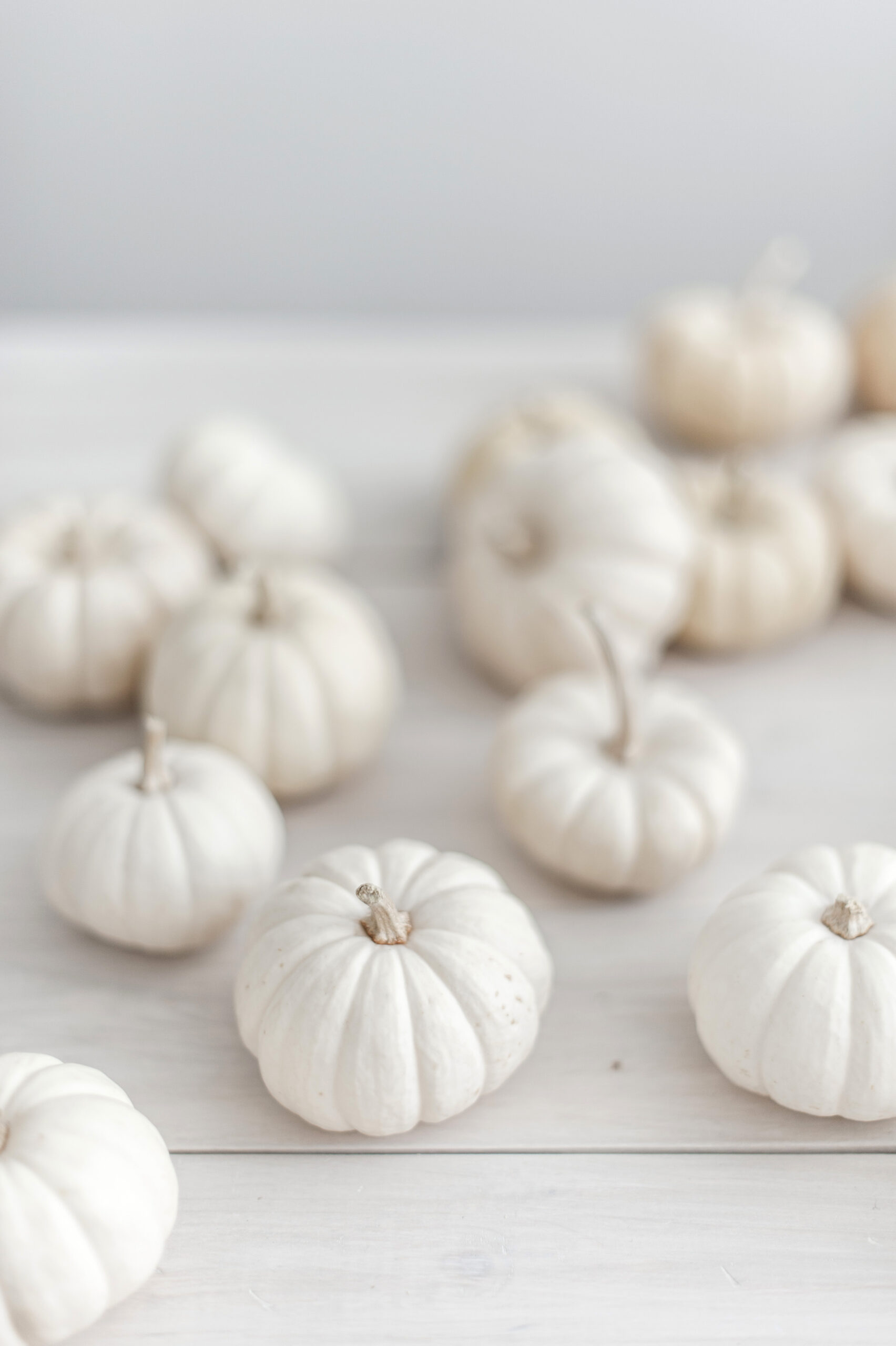 Get Creative in the Kitchen: Baking Down Pumpkins for Multiple Uses ...